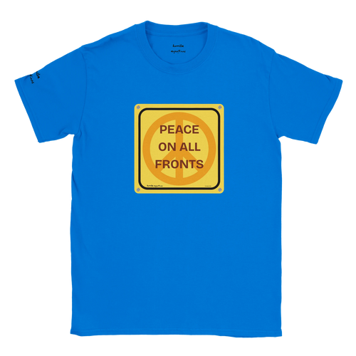 Heavyweight Unisex Crewneck T-shirt | Gildan® 5000 – humble equations